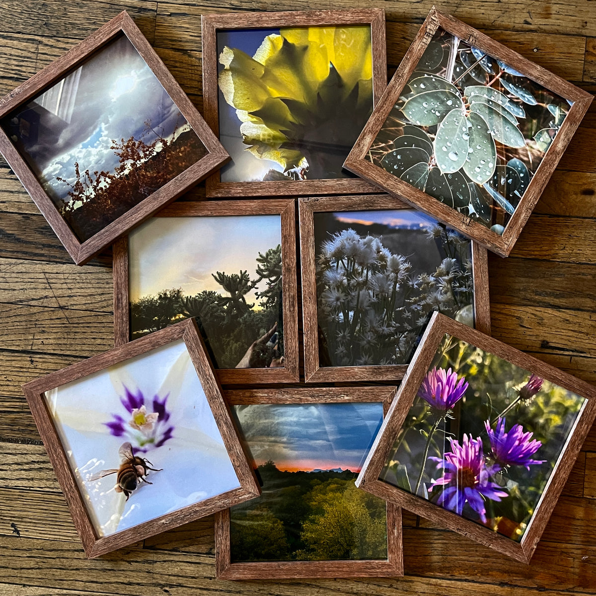 Pop Cycle Staff Artists – Pop Cycle Tucson