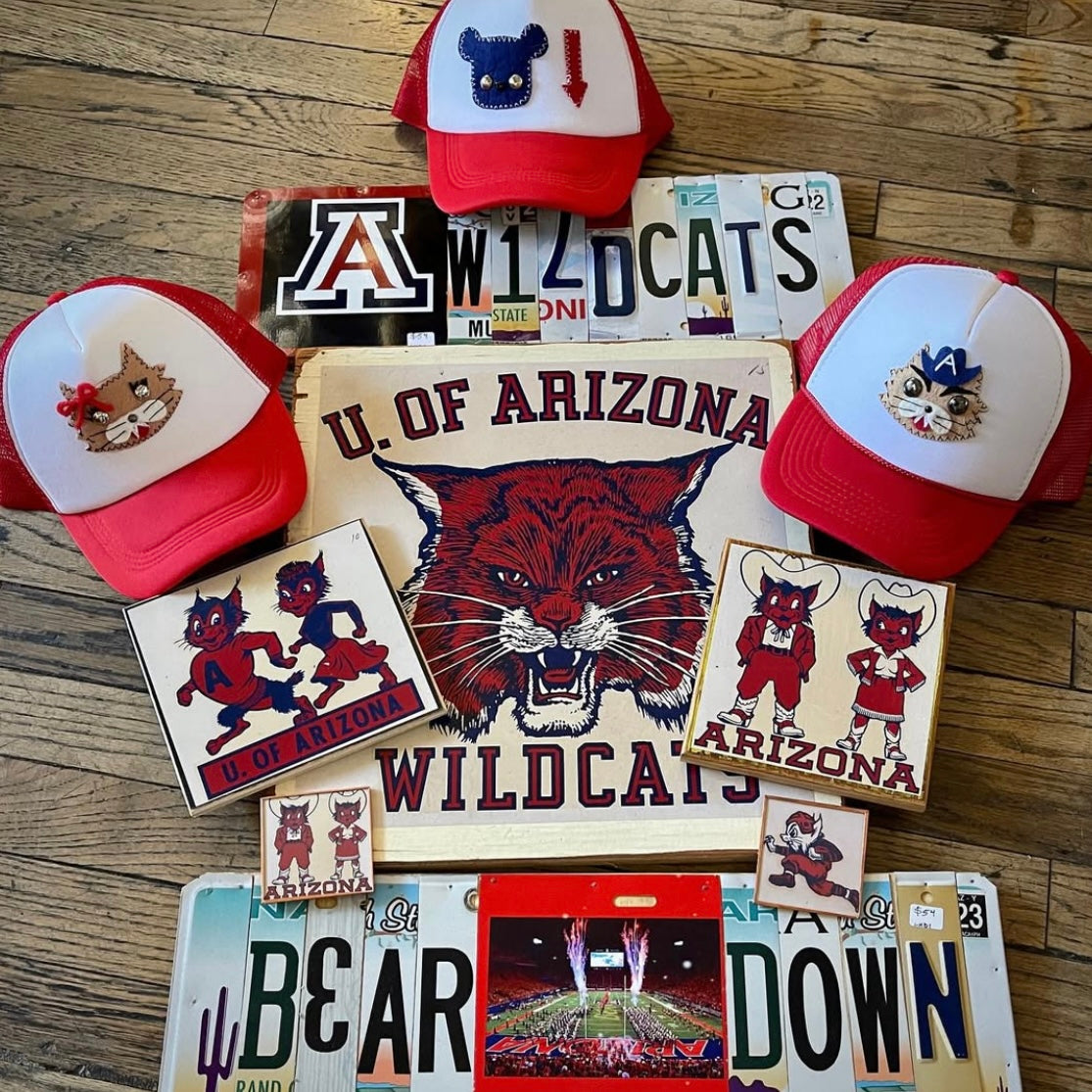 University of Arizona – Pop Cycle Tucson