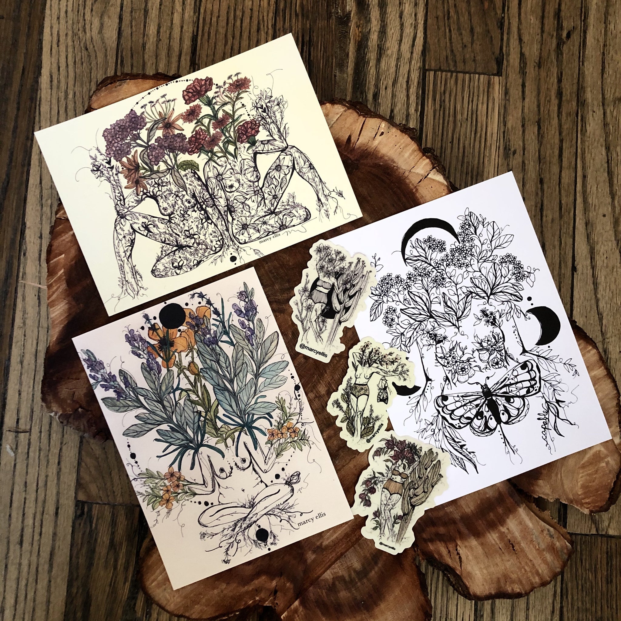 Collections – Pop Cycle Tucson